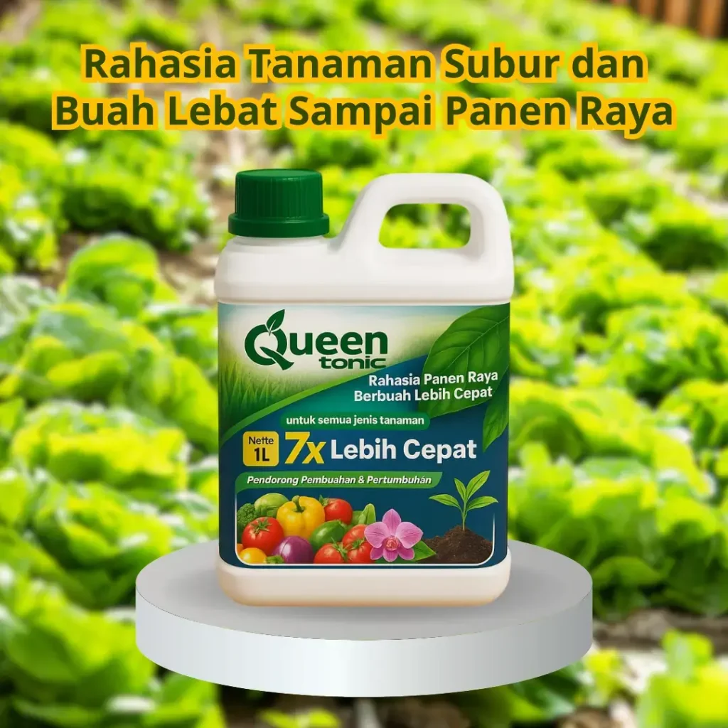 Queen Tonic 4 – Banter Mineral